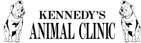 Kennedy's Animal Clinic | Best Veterinary Hospital In Raytown, MO